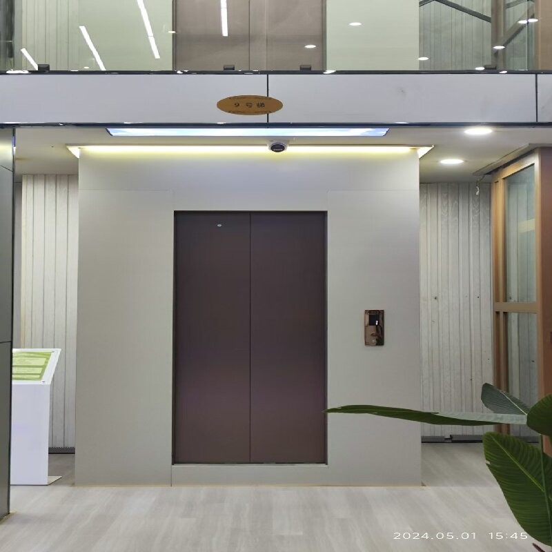 Hydraulic Elevators With Well Shaft Made Of Aluminium Frames Pitless Home Lift