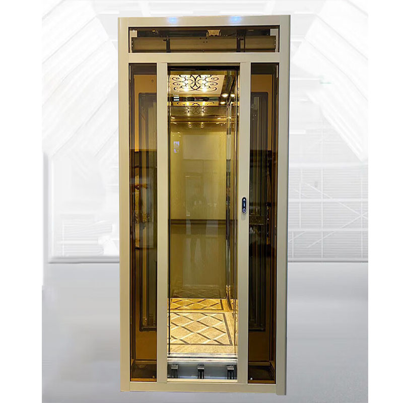 Automatic Sliding Door Gearless Residential Traction Elevator